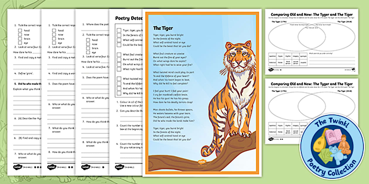 'The Tiger' (based on 'The Tyger') – KS2 Conservation Poem